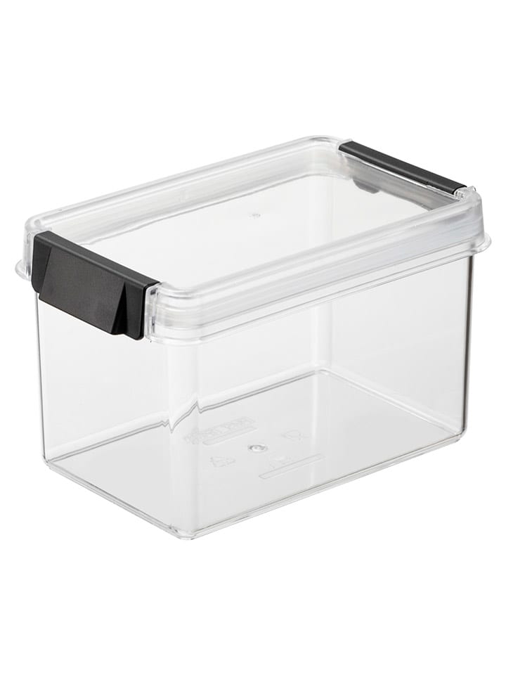 Plast Team Frischhaltedose in Schwarz - (B)16,8 x (H)10,5 x (T)10,9 cm ...