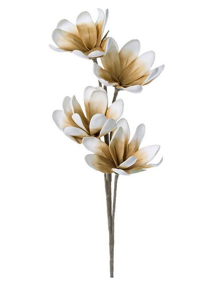 Bizzotto Kunstzweig ''Magnolia'' in Beige - (L)92 cm günstig kaufen ...